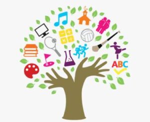 RIAB Curriculum - RIAB